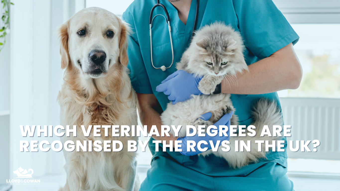 Which Veterinary Degrees Are Recognised by the RCVS in · Lloyd & Cowan